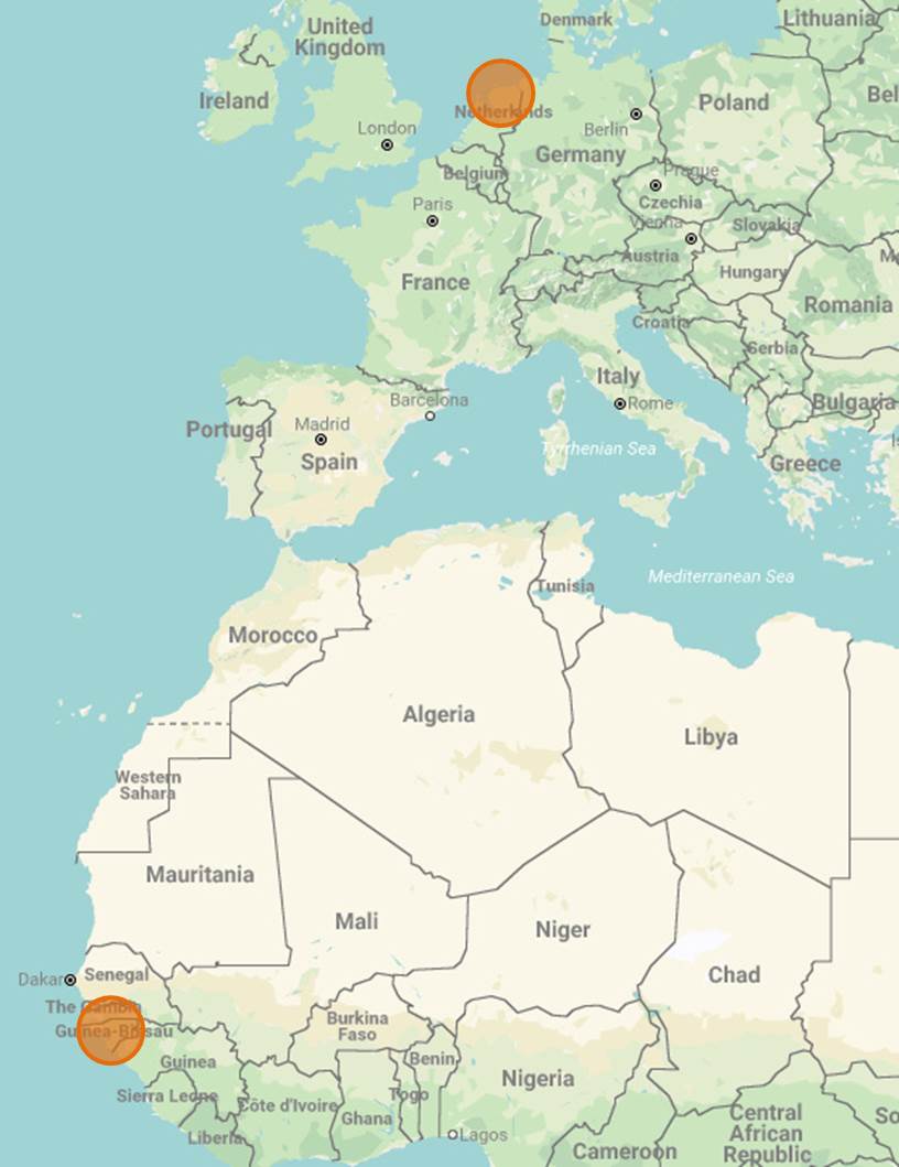 Amalia is back in Africa – but what happened to his brood?